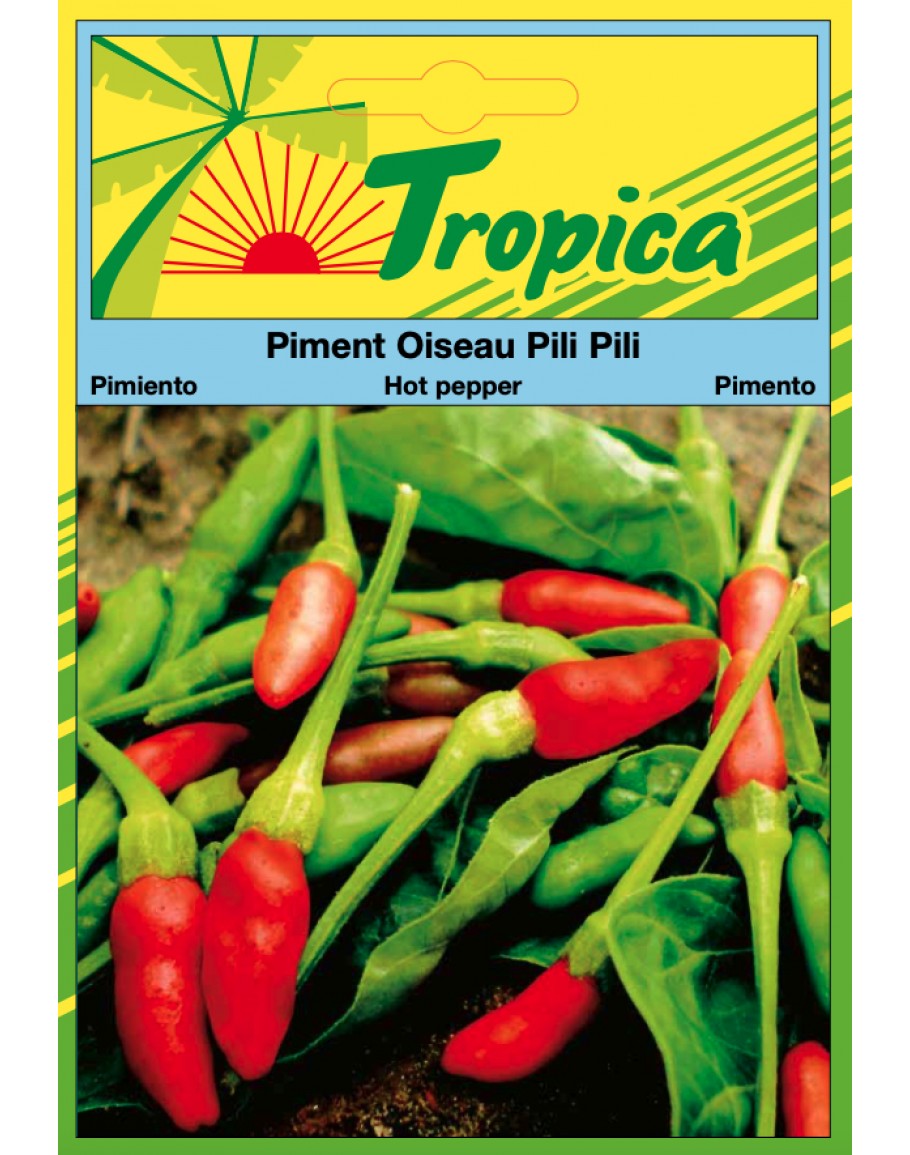 Hot Pepper (Oiseau Pili Pili) Seeds By Tropica